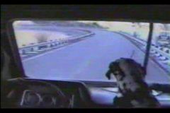 Lou Dog - Sublime Wiki